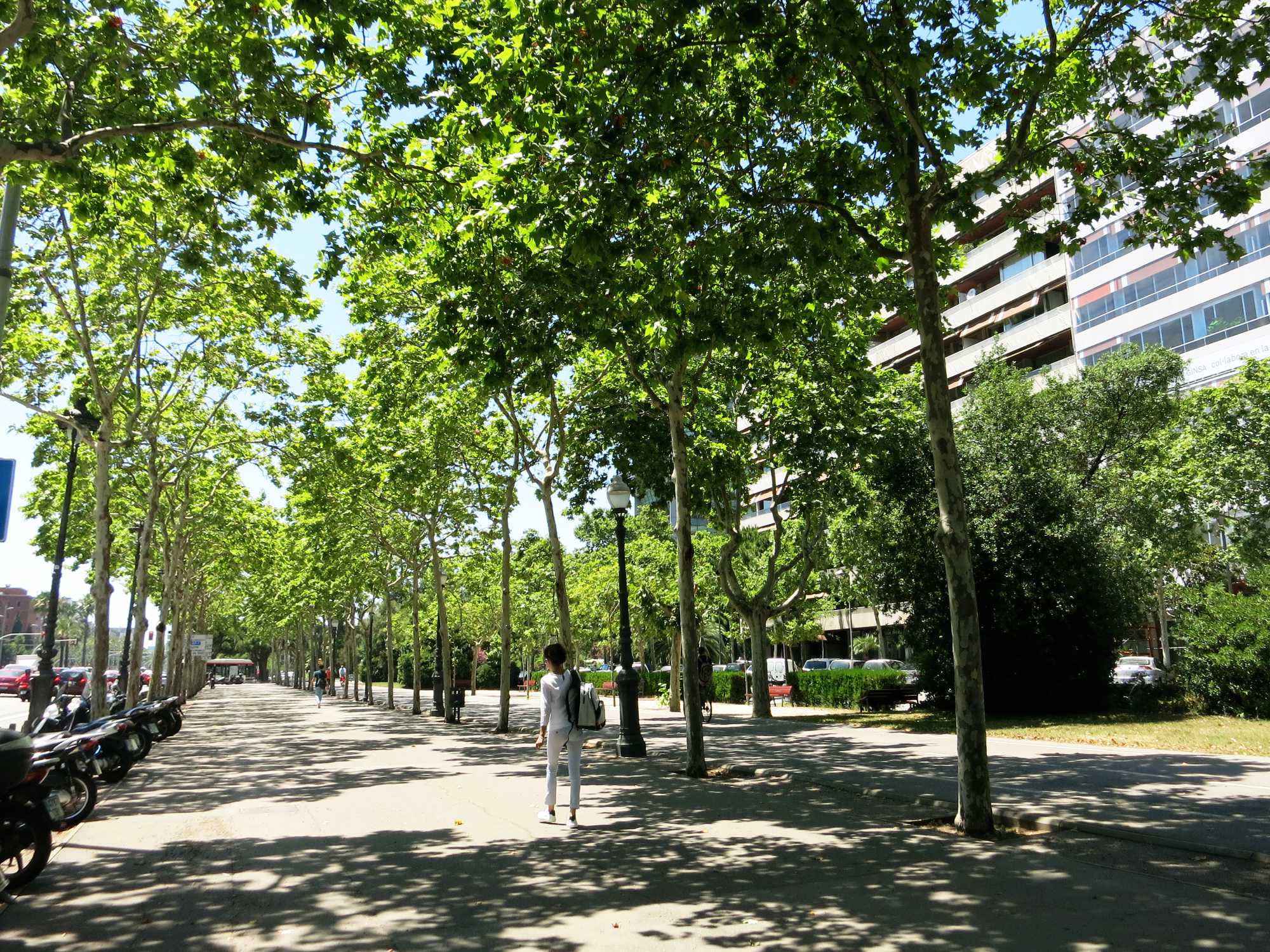 Avinguda Diagonal in Barcelona: informatie en tips - Barcelona met Marta